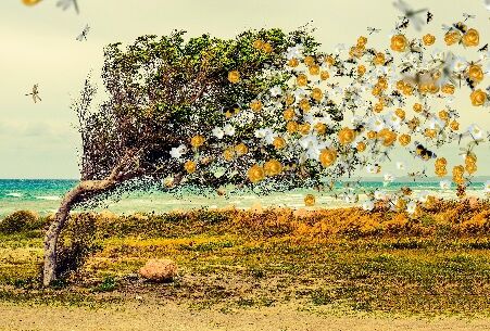 Guardians of Aeld Home | Guardians of Aeld Series